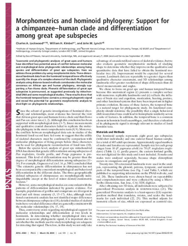 (PDF) Morphometrics and hominoid phylogeny: support for a chimpanzee ...