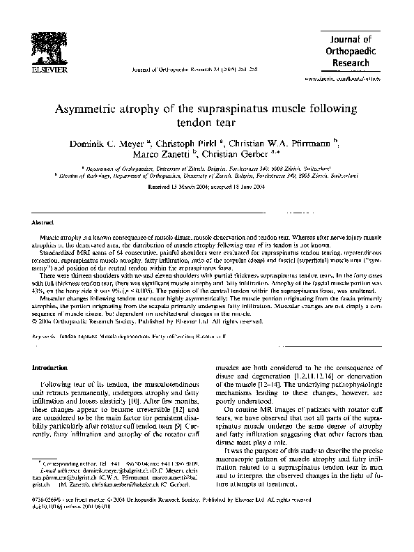 (PDF) Asymmetric atrophy of the supraspinatus muscle following tendon tear