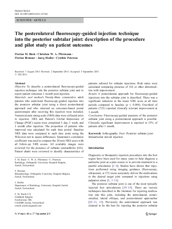 (PDF) The posterolateral fluoroscopy-guided injection technique into ...