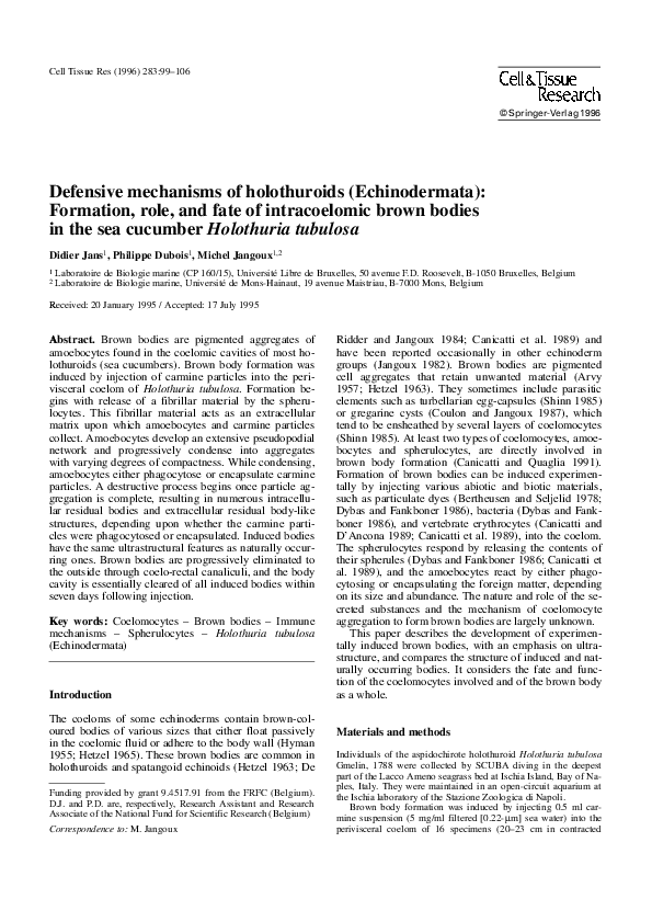 (PDF) Defensive mechanisms of holothuroids (Echinodermata): Formation ...