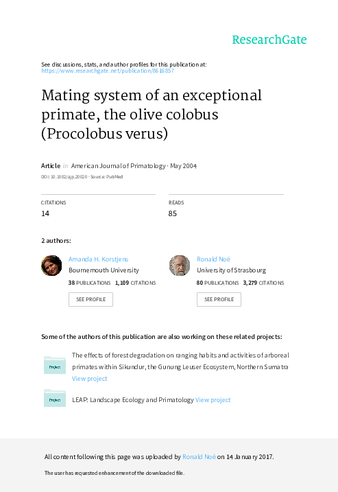 (PDF) Mating system of an exceptional primate, the olive colobus ...