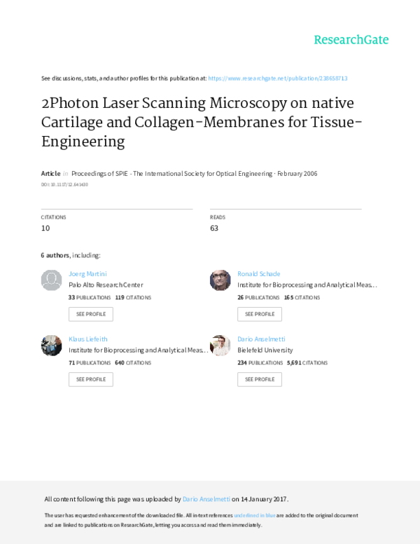 (PDF) Two-photon laser scanning microscopy on native cartilage and ...