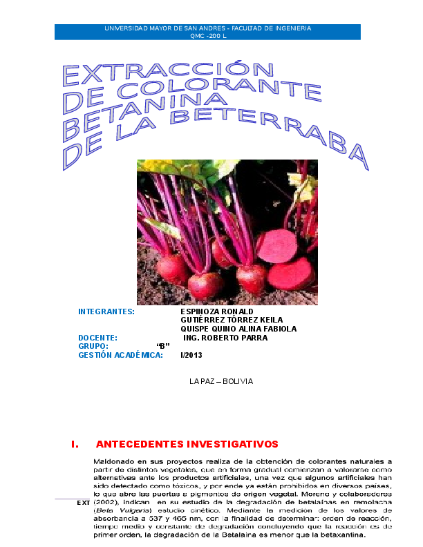 (DOC) PROYECTO BETANINA