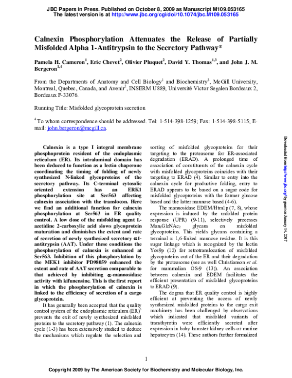 (PDF) Calnexin Phosphorylation Attenuates the Release of Partially ...