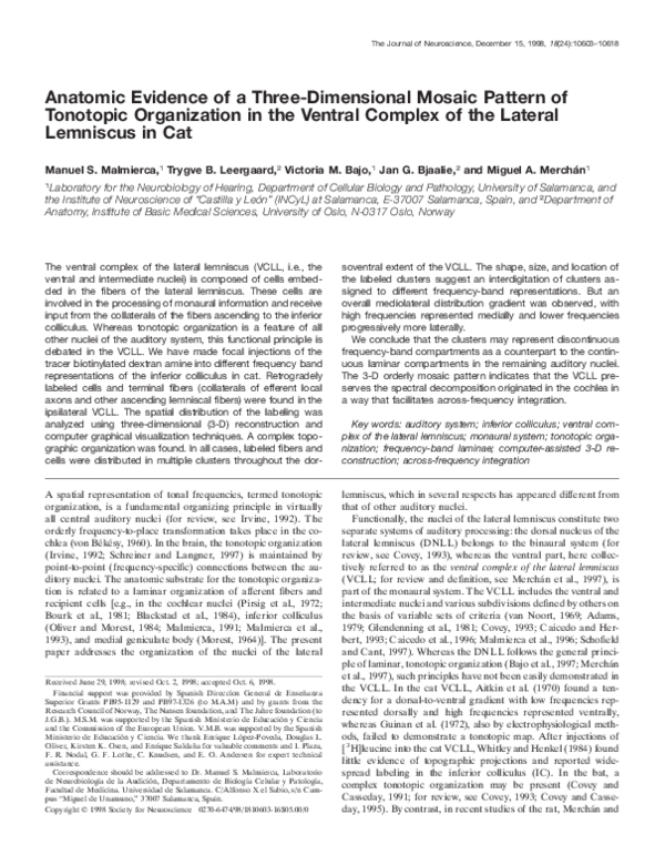 (PDF) Anatomic evidence of a three-dimensional mosaic pattern of ...
