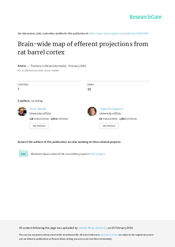 (PDF) Brain-wide map of efferent projections from rat barrel cortex
