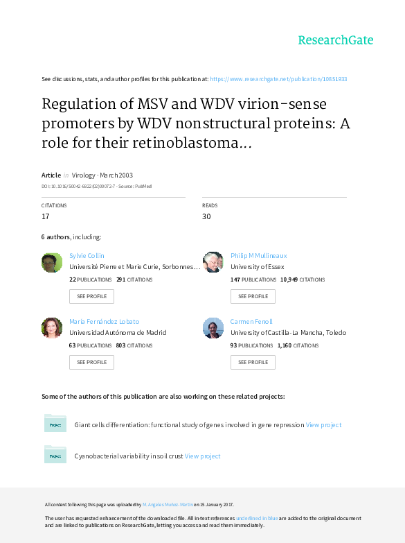 (PDF) Regulation of MSV and WDV virion-sense promoters by WDV ...