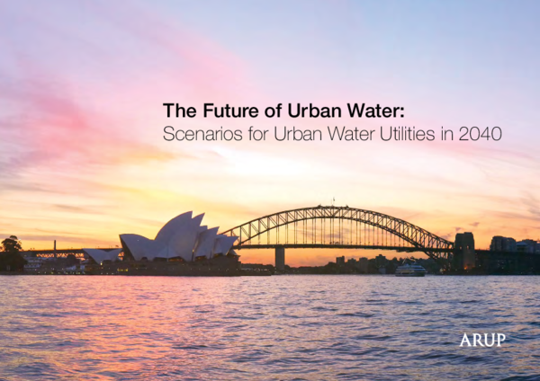 (PDF) The Future of Urban Water: Scenarios for Urban Water Utilities in ...