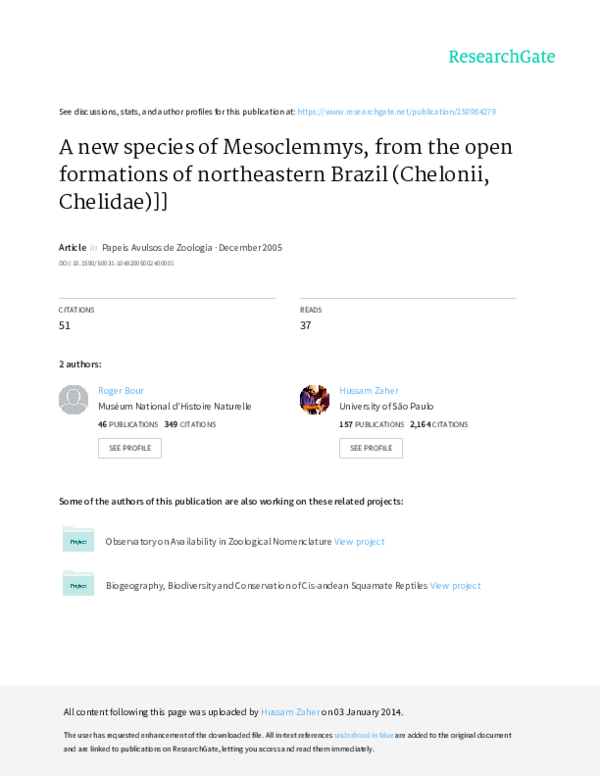 (PDF) A new species of Mesoclemmys, from the open formations of ...