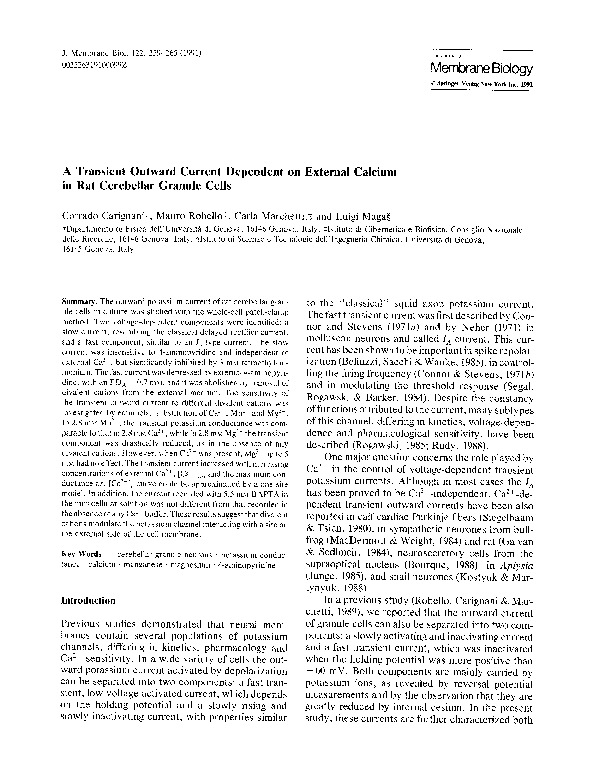(PDF) A transient outward current dependent on external calcium in rat ...
