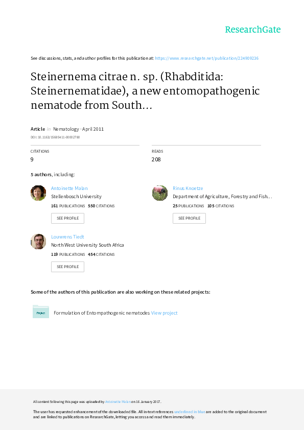 (PDF) Steinernema citrae n. sp. (Rhabditida: Steinernematidae), a new entomopathogenic nematode ...
