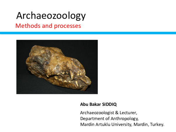 (PDF) Zooarchaeology: methods and techniques