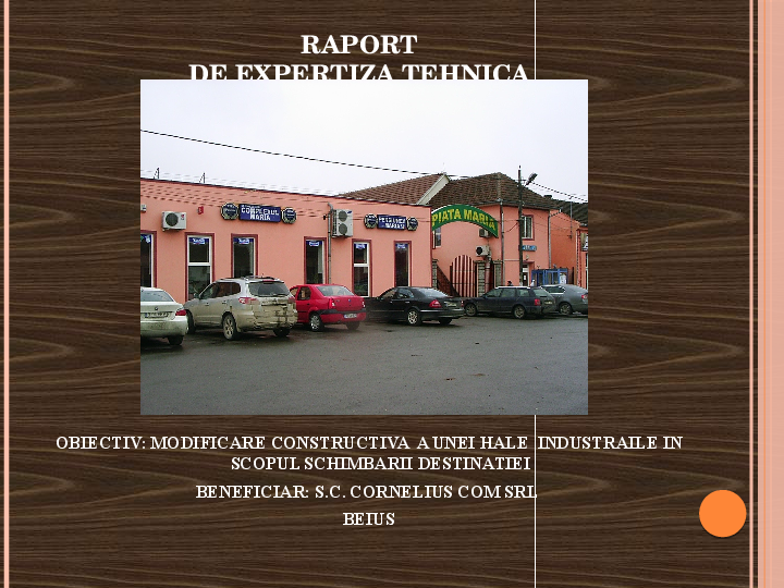(PPT) Raport expertiza tehnica