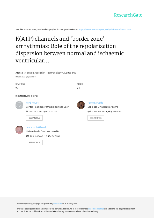 (PDF) KATP channels and 'border zone'arrhythmias: role of the ...