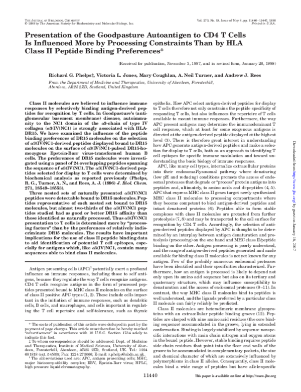 (PDF) Presentation of the Goodpasture autoantigen to CD4 T cells is ...