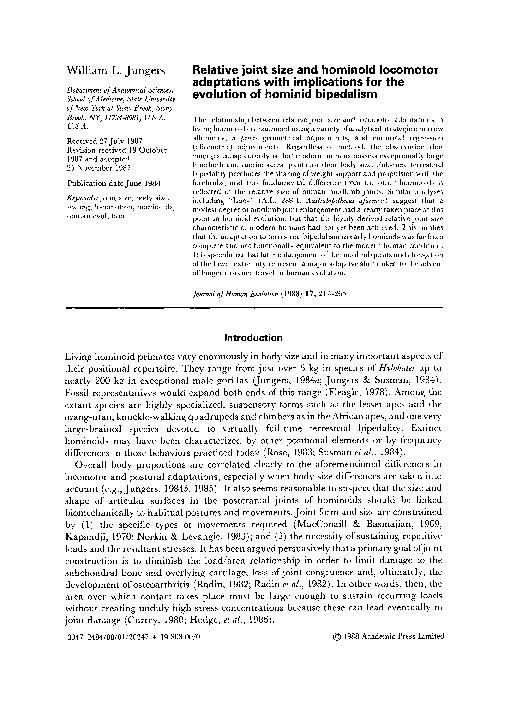 (PDF) Relative joint size and hominoid locomotor adaptations with ...