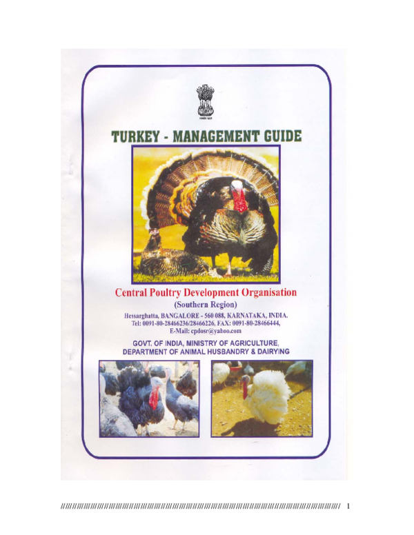 (PDF) TURKEY FARMING GUIDE