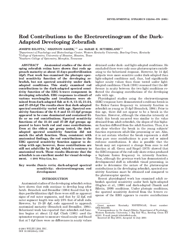 (PDF) Rod Contributions to the Electroretinogram of the Dark‐adapted ...