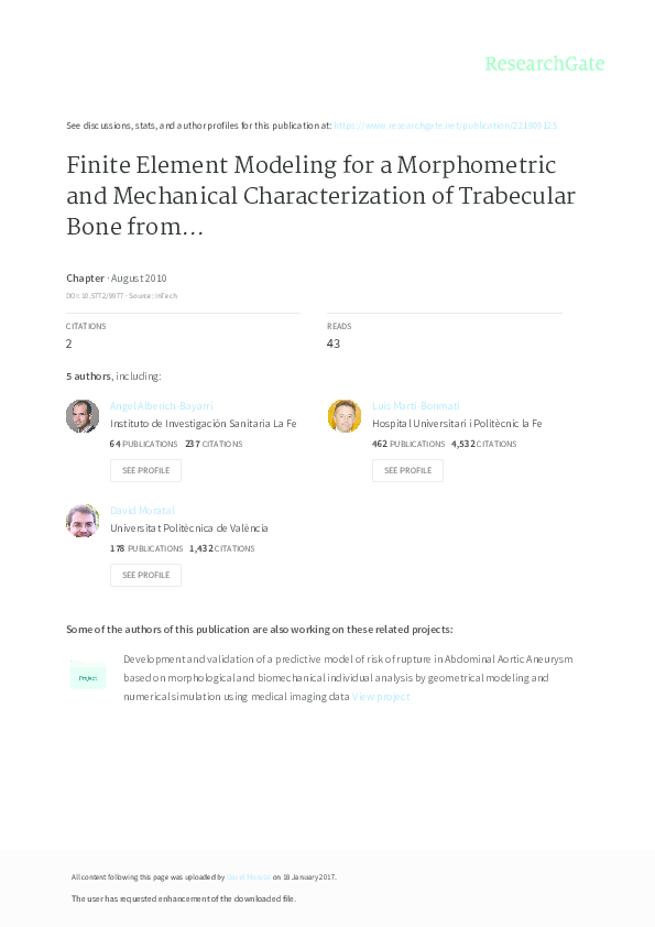 Finite Element Modeling for a Morphometric and Mechanical Characterization of Trabecular Bone ...