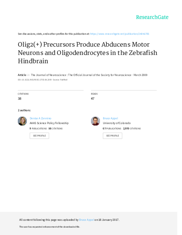 (PDF) Olig2+ Precursors Produce Abducens Motor Neurons and ...