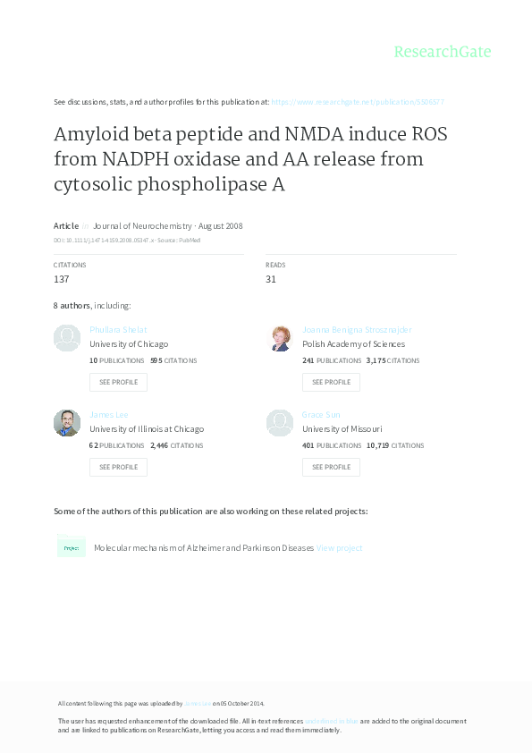 (PDF) Amyloid beta peptide and NMDA induce ROS from NADPH oxidase and ...