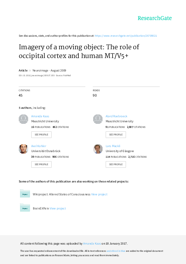 (PDF) Imagery of a Moving Object: The Role of Occipital Cortex and ...