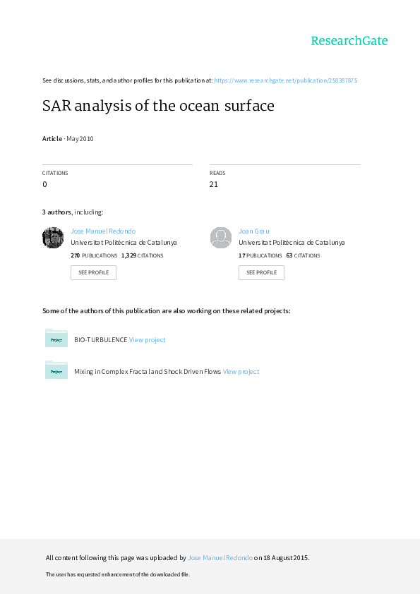 (PDF) SAR Analysis of the Ocean Surface