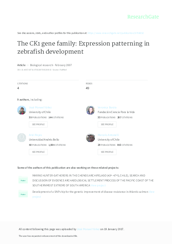 (PDF) The CK1 Gene Family: Expression Patterning In Zebrafish Development