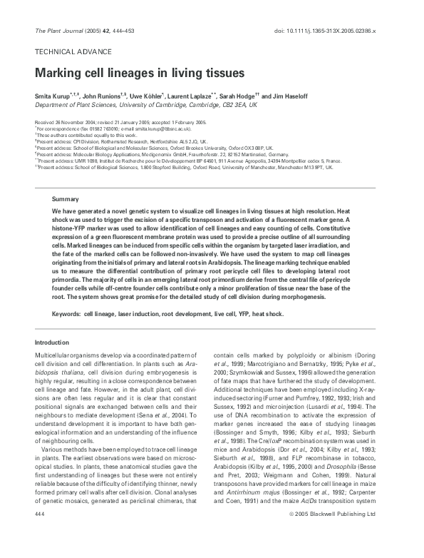 (PDF) Marking Cell Lineages In Living Tissues