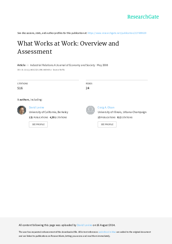 (PDF) What works at work: overview and assessment