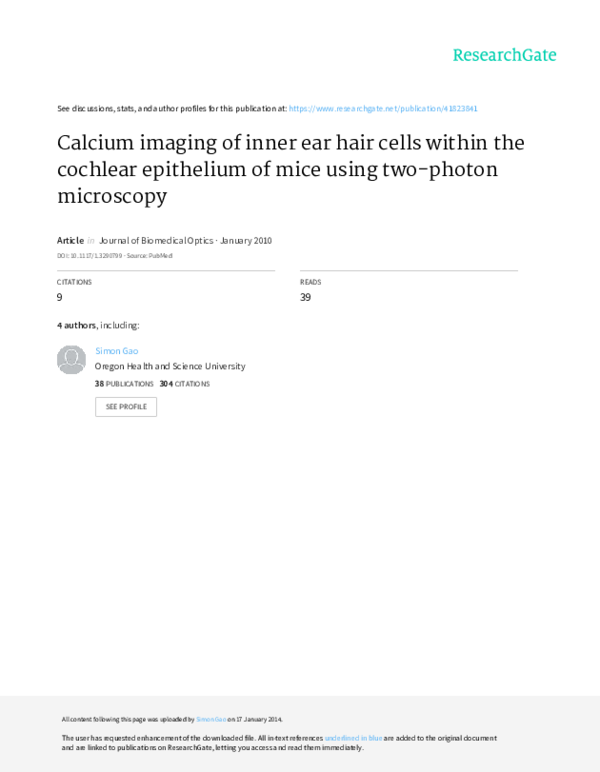 (PDF) Calcium imaging of inner ear hair cells within the cochlear ...