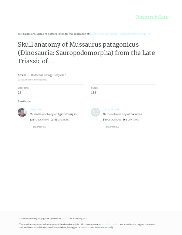 (PDF) Skull Anatomy of Mussaurus Patagonicus (Dinosauria ...