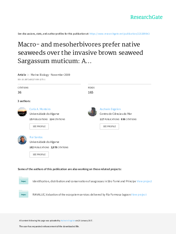(PDF) Macro-and Mesoherbivores Prefer Native Seaweeds Over the Invasive Brown Seaweed Sargassum ...