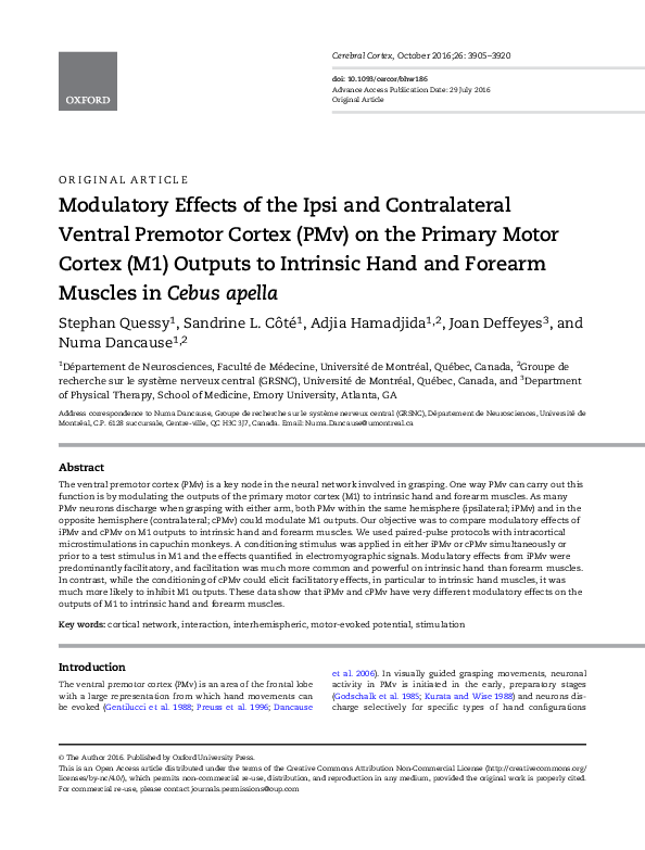 (PDF) Modulatory Effects of the Ipsi and Contralateral Ventral Premotor Cortex (PMv) on the ...