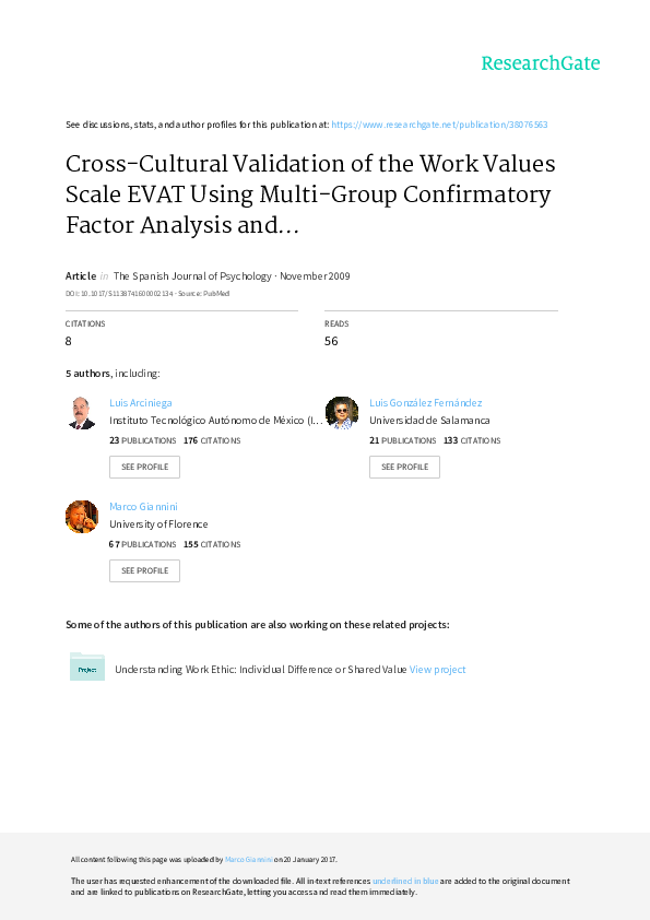 (PDF) Cross-Cultural Validation of the Work Values Scale EVAT Using ...