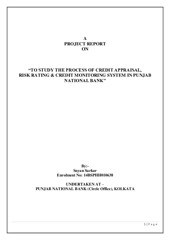 (PDF) A PROJECT REPORT ON " TO STUDY THE PROCESS OF CREDIT APPRAISAL ...