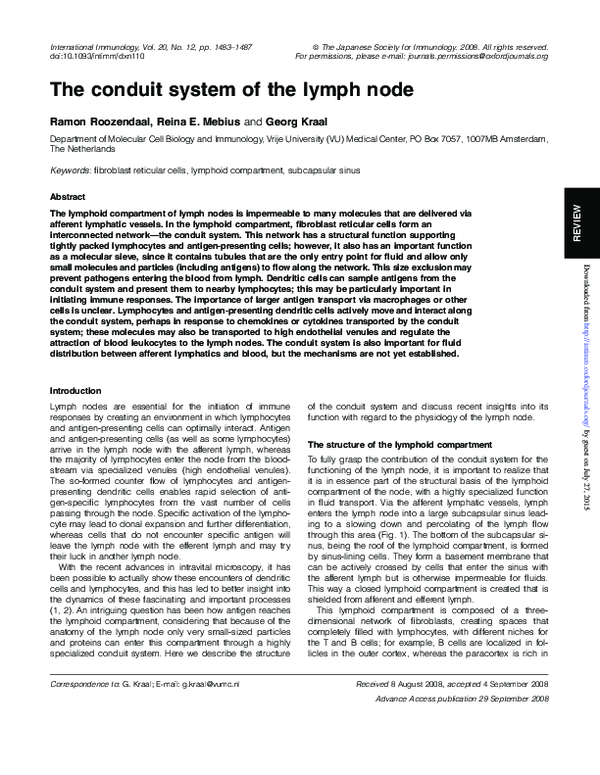 (PDF) The conduit system of the lymph node