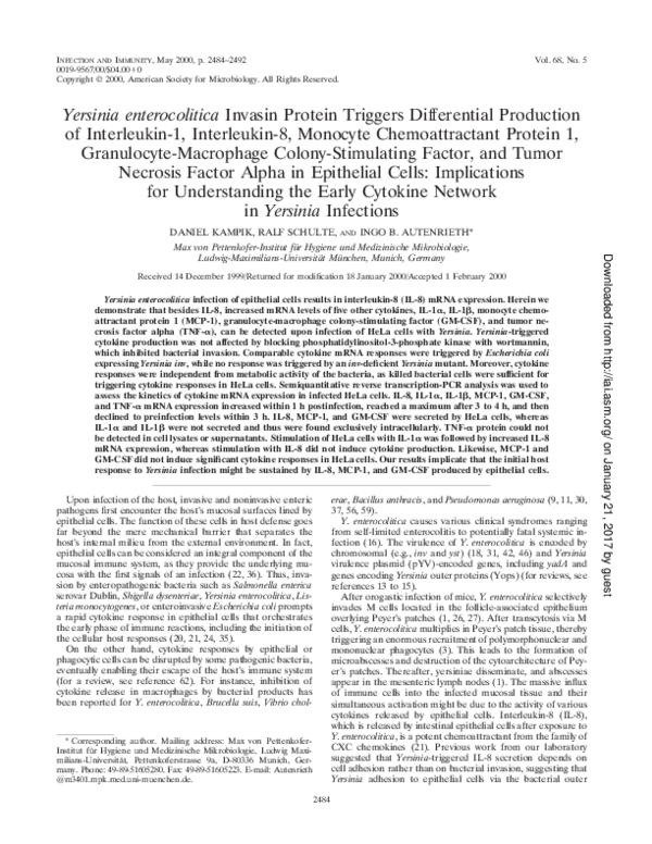 (PDF) Yersinia Enterocolitica Invasin Protein Triggers Differential ...