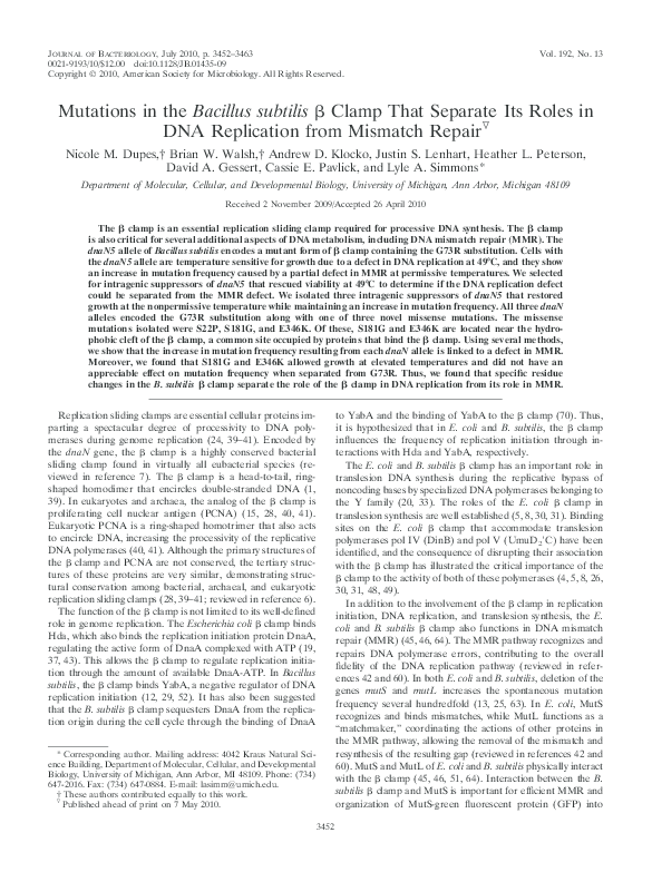 (PDF) Mutations In Bacillus Subtilis {Beta} Clamp That Separate Its ...