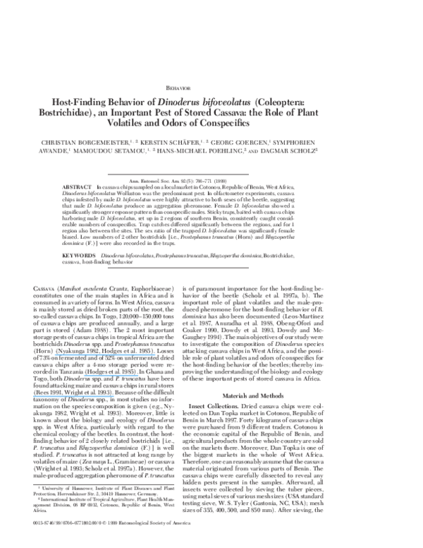 (PDF) Host-Finding Behavior of Dinoderus bifoveolatus (Coleoptera ...