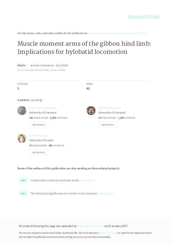 (PDF) Muscle Moment Arms of the Gibbon Hind Limb: Implications for ...