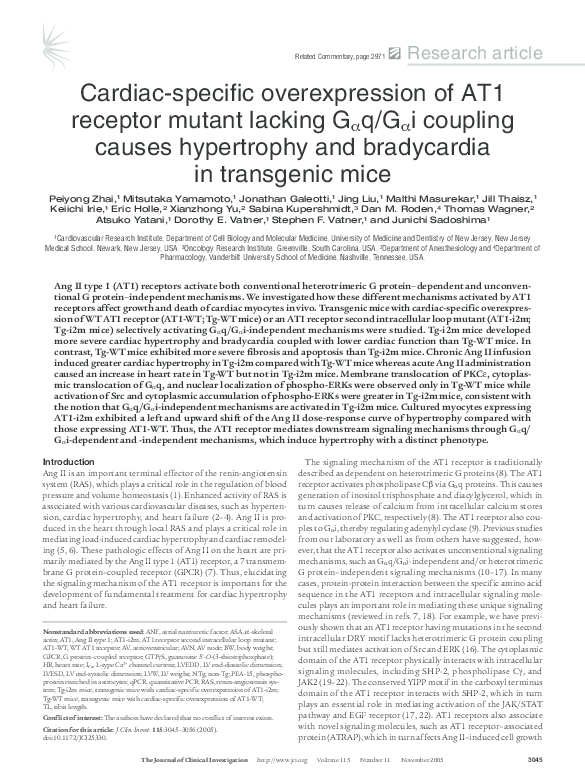 (PDF) Cardiac-Specific Overexpression of AT1 Receptor Mutant Lacking ...