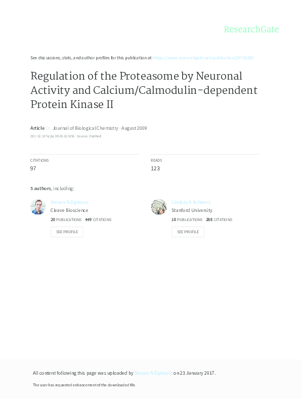 (PDF) Regulation of the Proteasome by Neuronal Activity and Calcium/Calmodulin-Dependent Protein ...