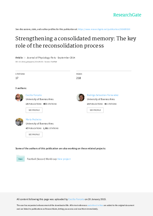 (PDF) Strengthening a consolidated memory: The key role of the ...