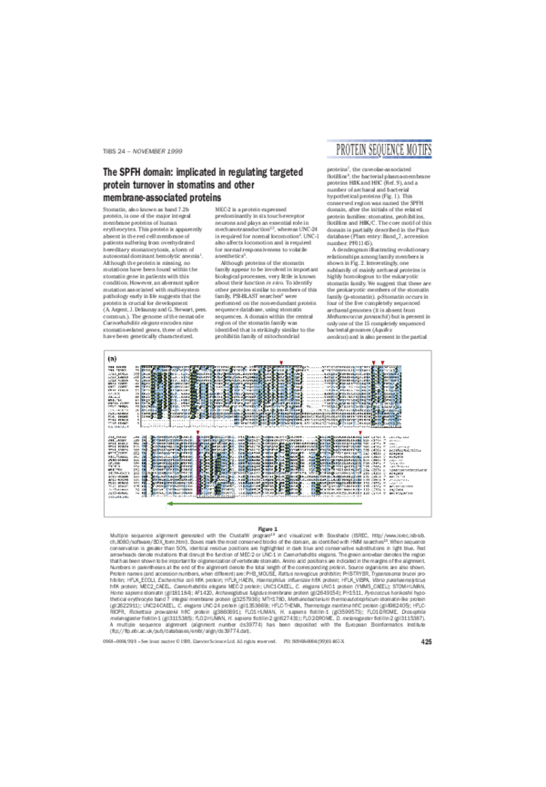 (PDF) The SPFH Domain: Implicated In Regulating Targeted Protein ...