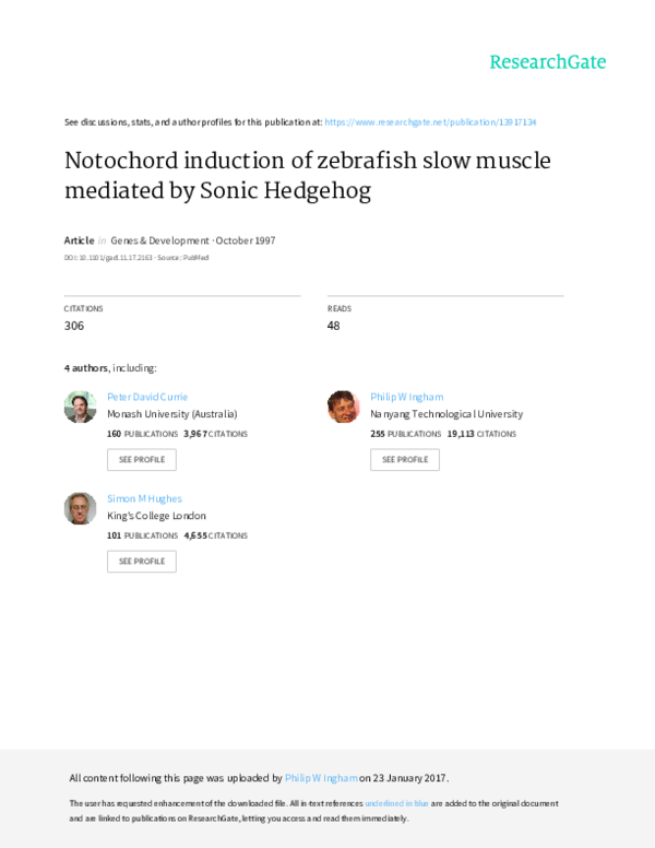 (PDF) Notochord Induction of Zebrafish Slow Muscle Mediated by Sonic ...