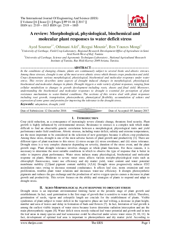 (PDF) A review: Morphological, physiological, biochemical and molecular plant responses to water ...