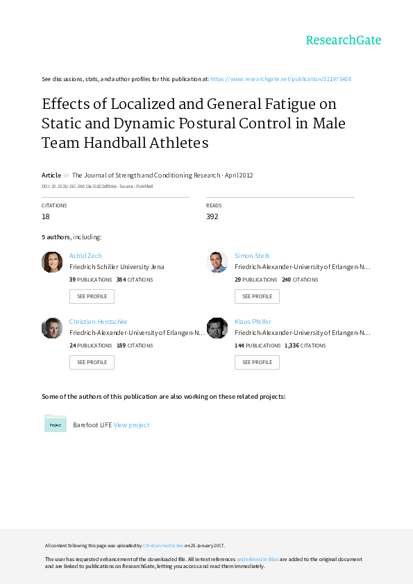 (PDF) Effects of Localized and General Fatigue on Static and Dynamic ...