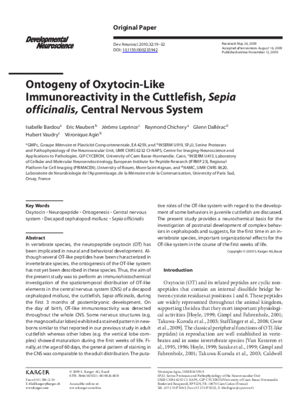 (PDF) Ontogeny of Oxytocin-Like Immunoreactivity in the Cuttlefish ...