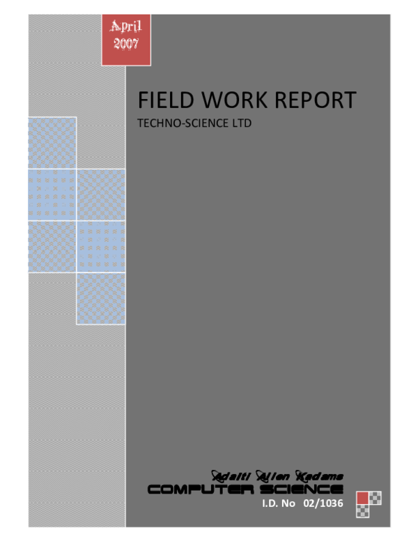 (PDF) AN IT FIELD WORK REPORT IN NIGERIA